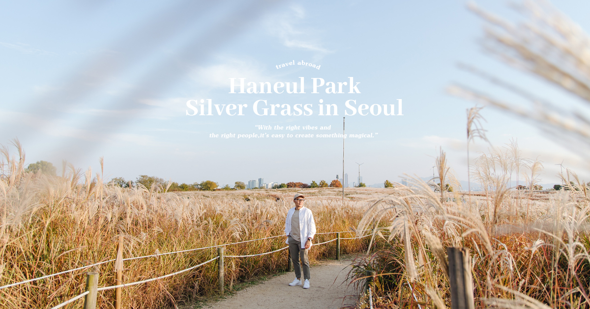 สวนฮานึล (Haneul Park) เทศกาลดอกหญ้าบานกลางกรุงโซล
