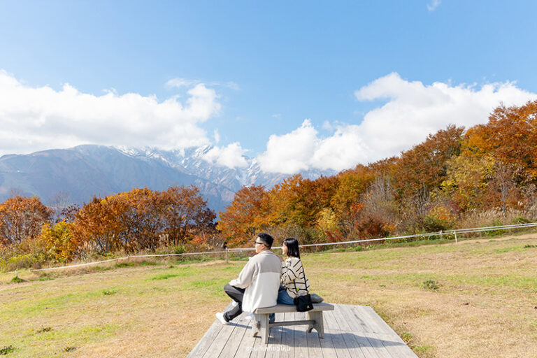 Hakuba Mountain Harbor พิกัดชมวิวเทือกเขาเจแปนแอลป์แบบพาโนรามา