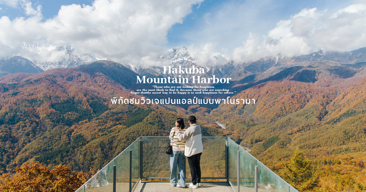Hakuba Mountain Harbor พิกัดชมวิวเทือกเขาเจแปนแอลป์แบบพาโนรามา